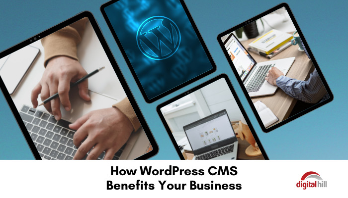 How WordPress CMS Benefits Your Business - Digital Hill Multimedia, Inc.